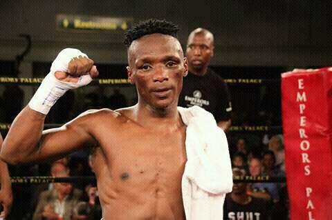 MINI – FLYWEIGHT 47.63 | The Public News Hub